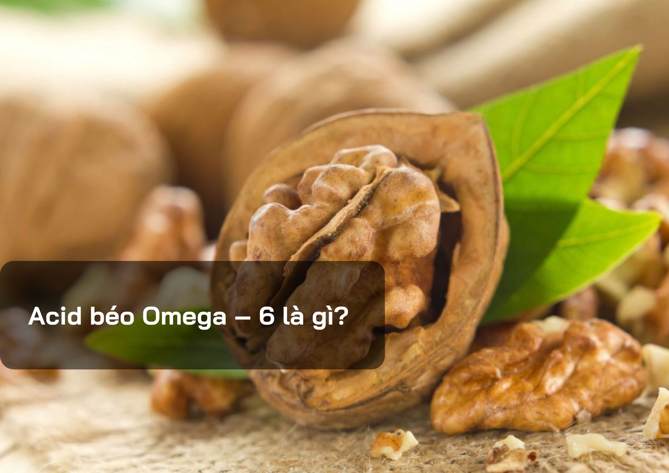 Acid béo Omega – 6 là gì? - AKIO JSC
